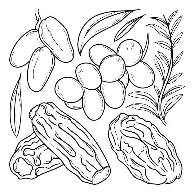 Dibujos de datiles para colorear | vsun