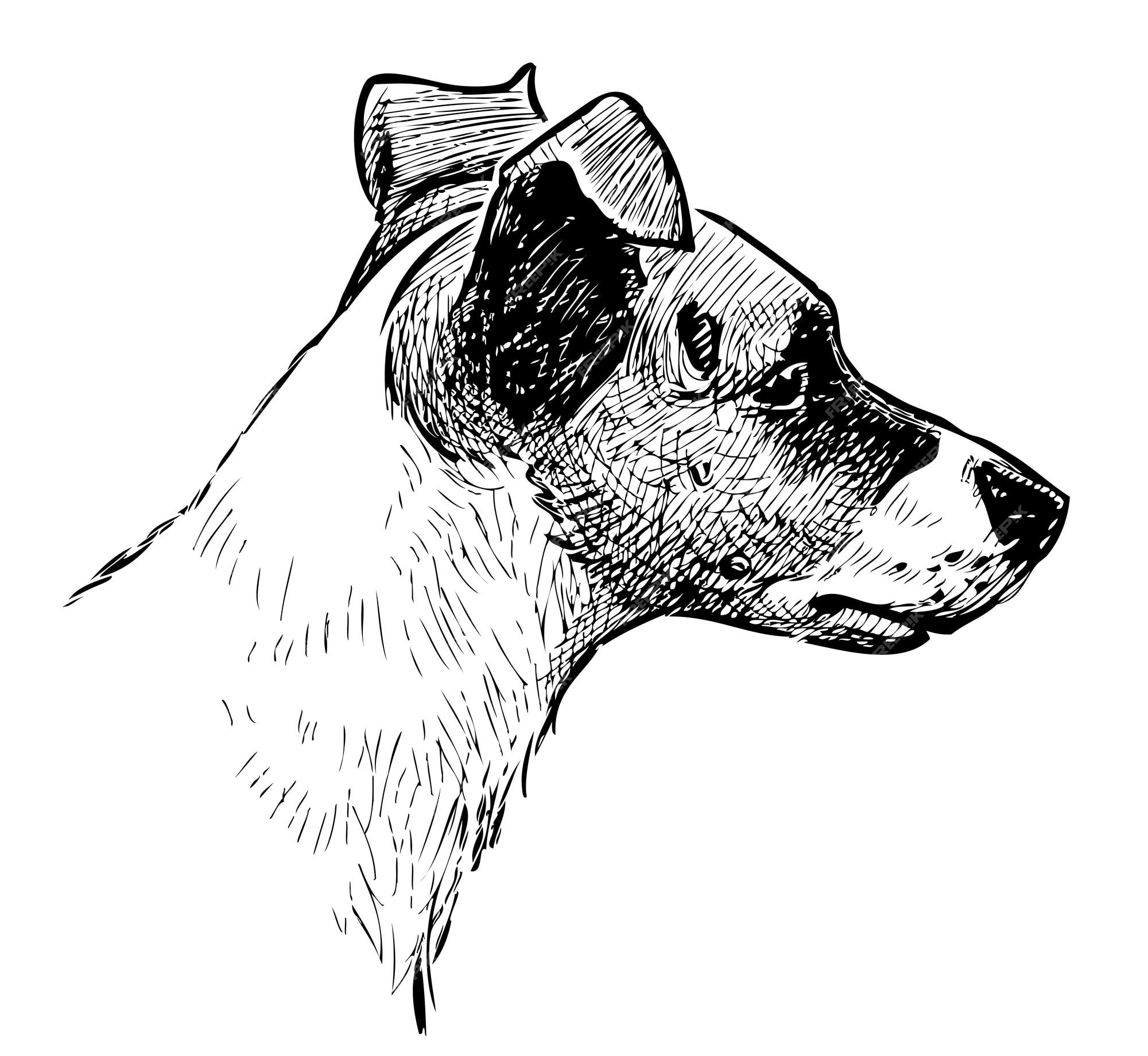 Dibujos de laika para colorear | vsun