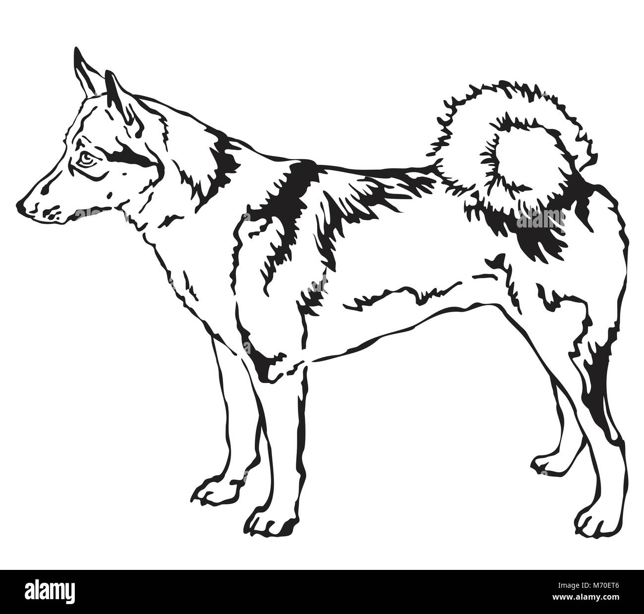 Dibujos de laika para colorear | vsun