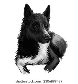 Dibujos de laika para colorear | vsun