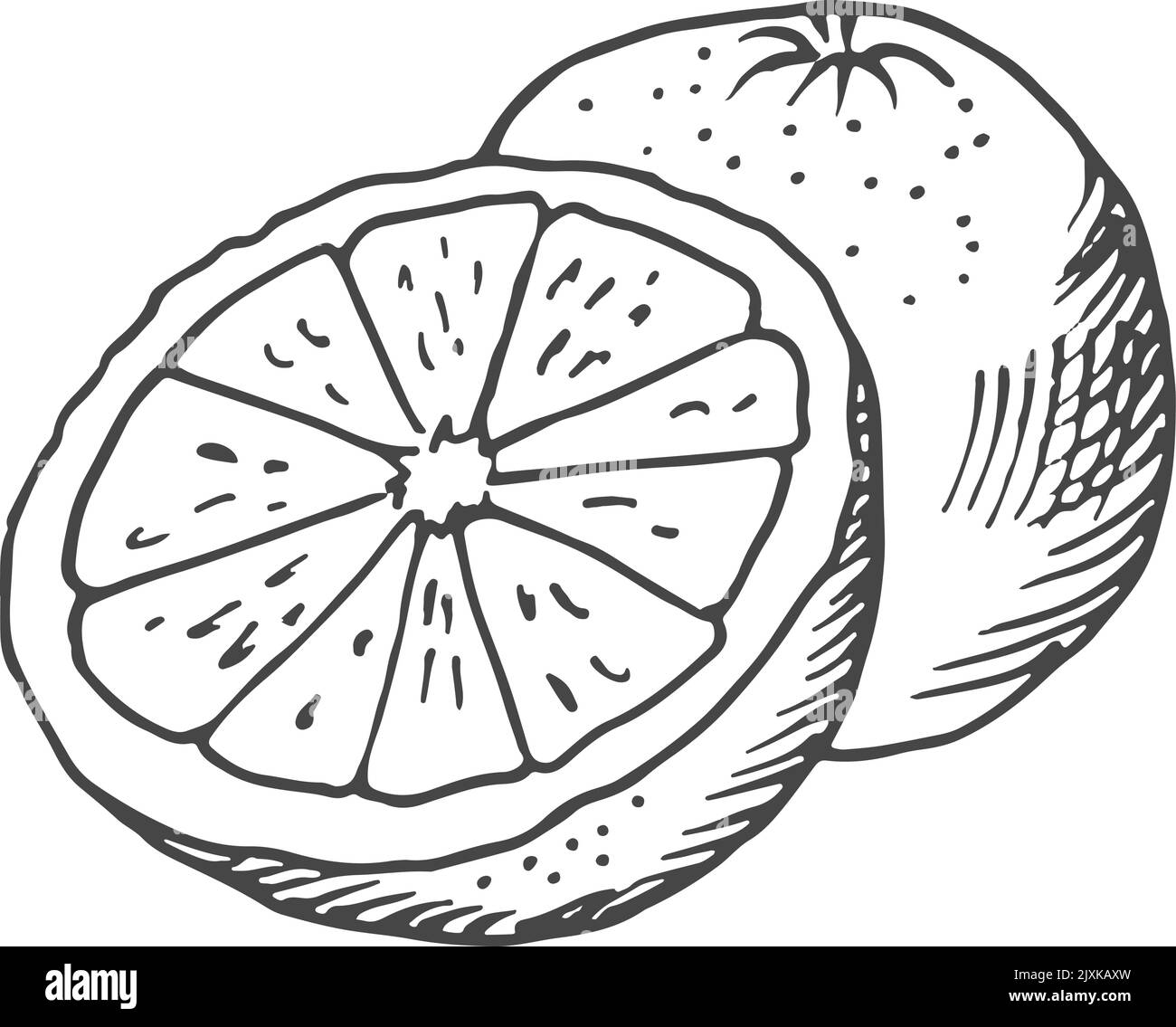 Dibujos de naranjas para colorear | vsun